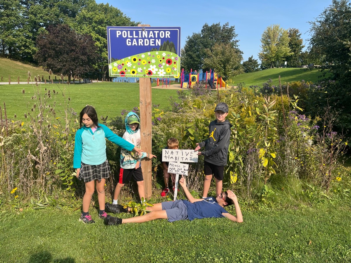 GH Fall Garden Guide – The Green Herons