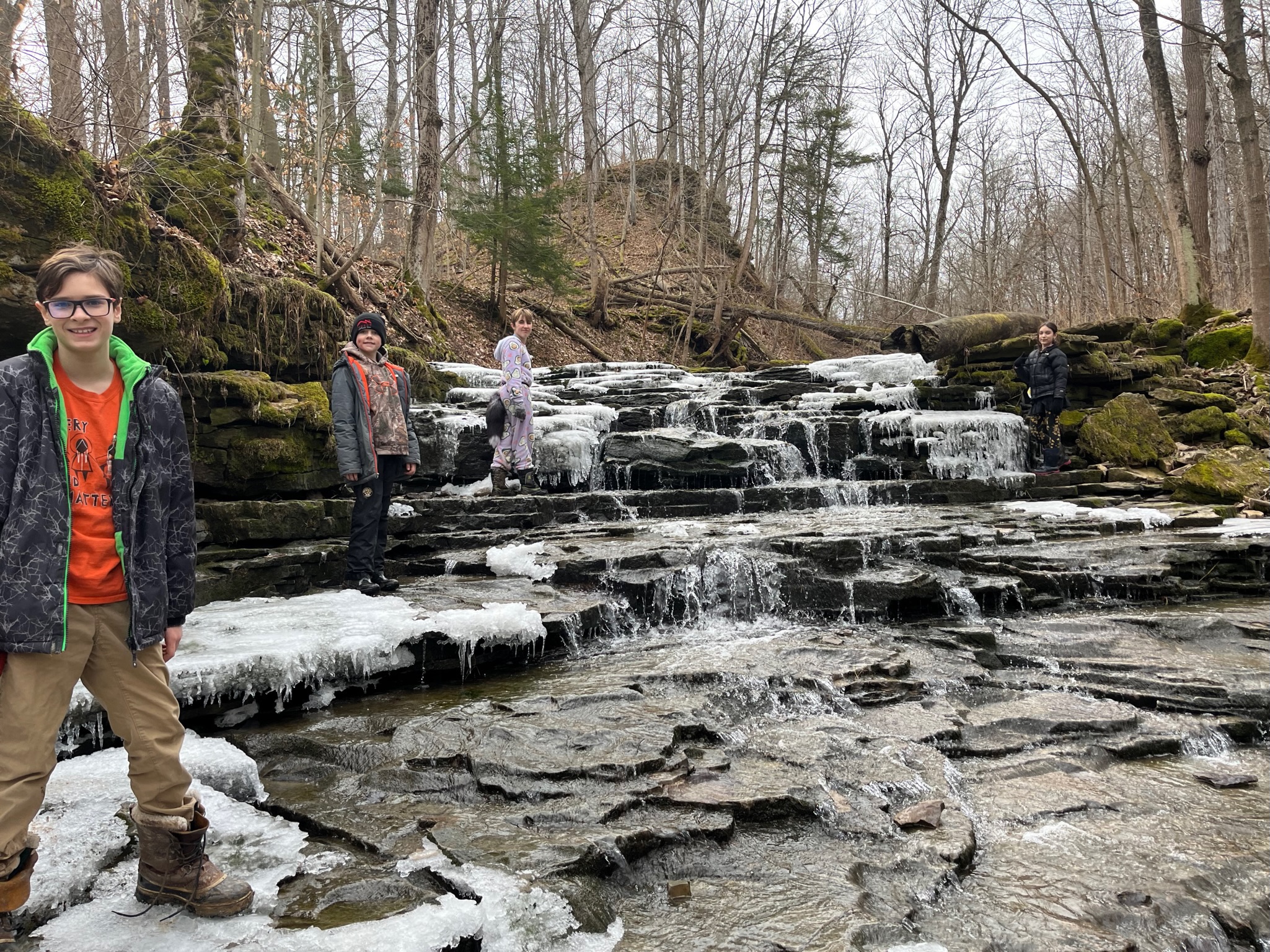 Project Videos – The Green Herons